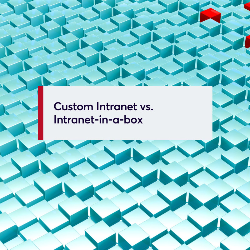 Custom Intranet vs. Intranet-in-a-box | innobit ag